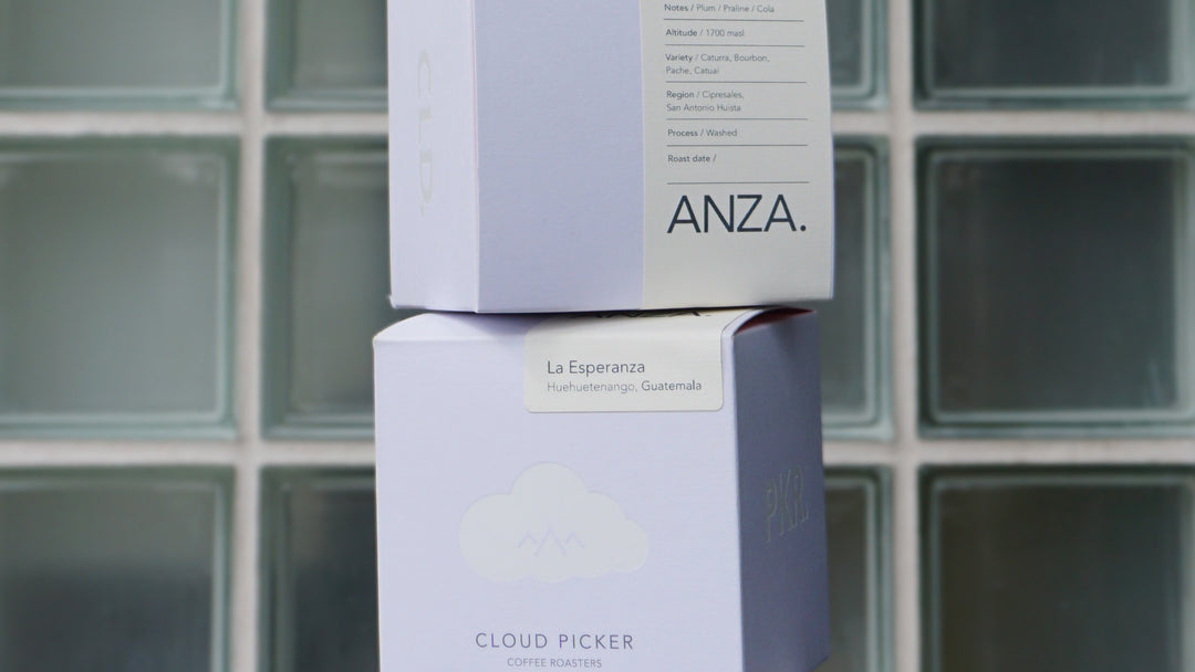 Cloud Picker Coffee